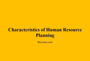 Characteristics of Human Resource Planning - BBS Notes