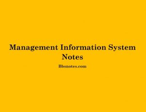 Management Information System Notes - BBS Notes